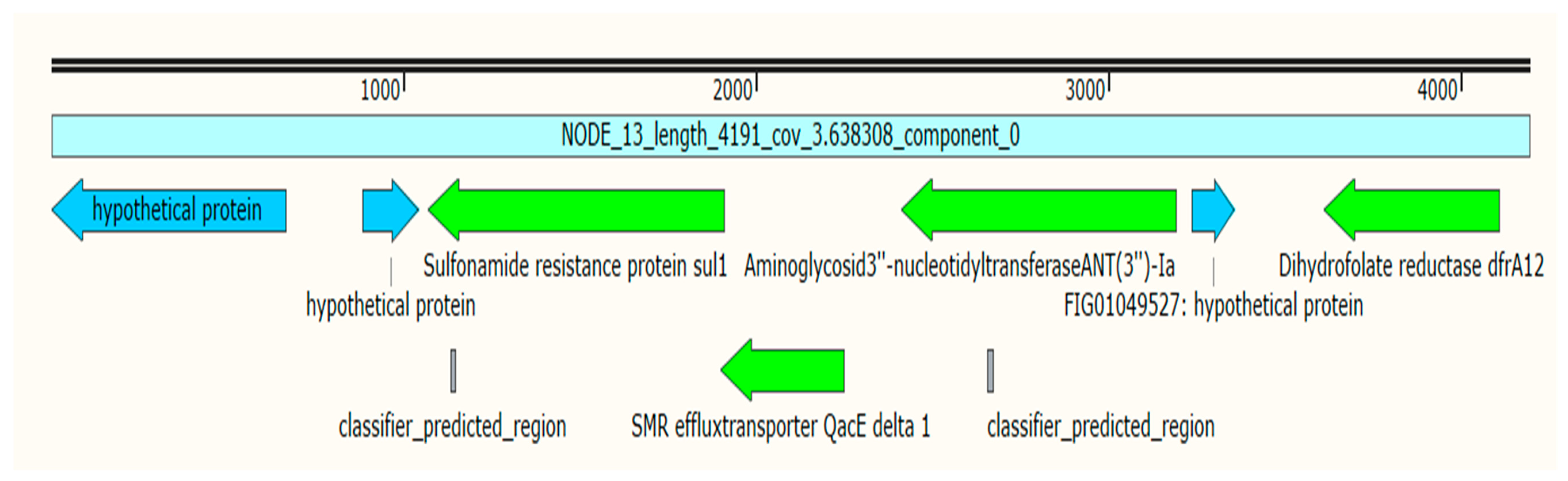 Genomic Study of Chromosomally and Plasmid-Mediated Multidrug ...