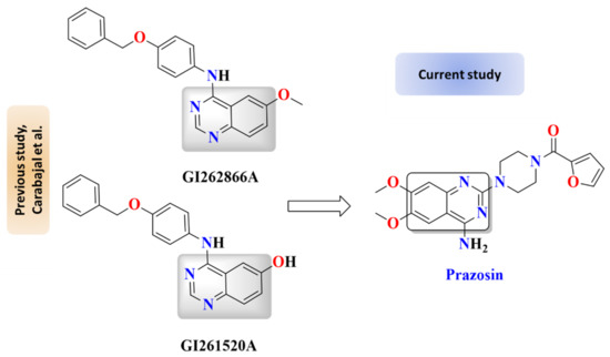 Controlling of Bacterial Virulence: Evaluation of Anti-Virulence ...