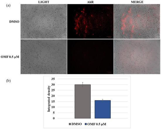 Effectiveness of the Fungal Metabolite 3-O-Methylfunicone towards ...