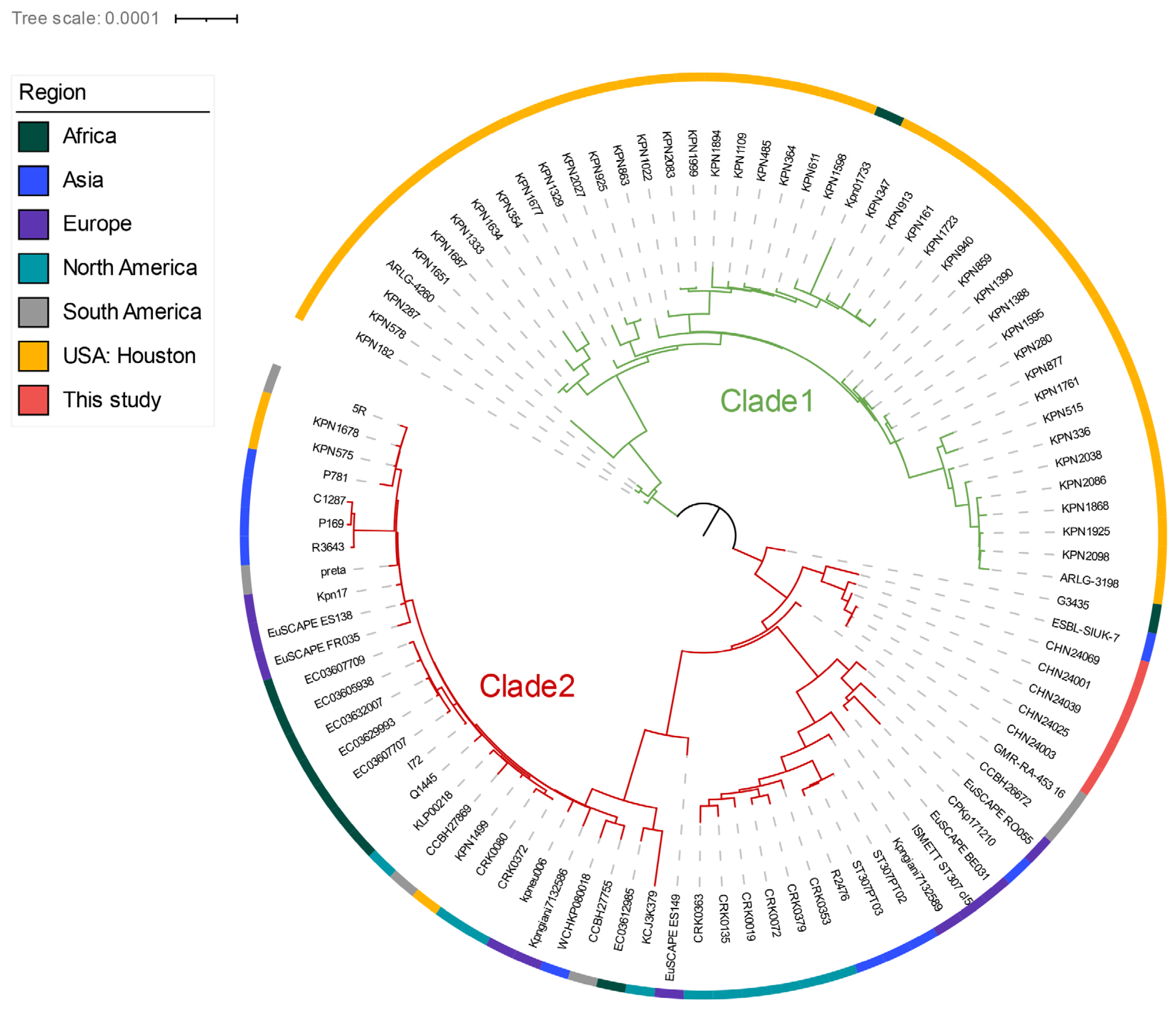 The Genetic Characteristics and Carbapenem Resistance Mechanism of ...