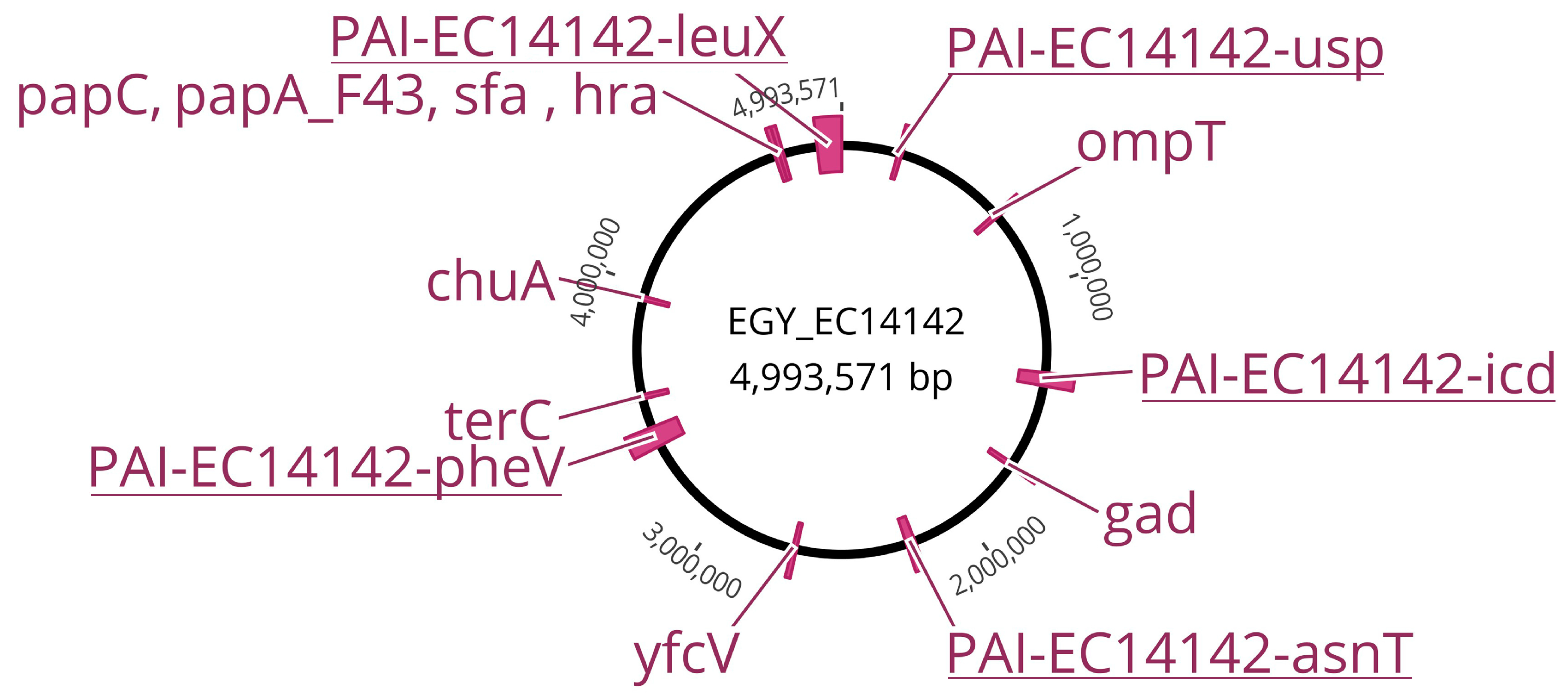 Antibiotics | Free Full-Text | Pathogenicity Islands in Uropathogenic ...