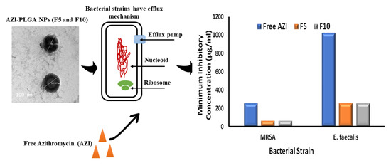 Antibiotics | Free Full-Text | Antimicrobial Activity of Azithromycin ...