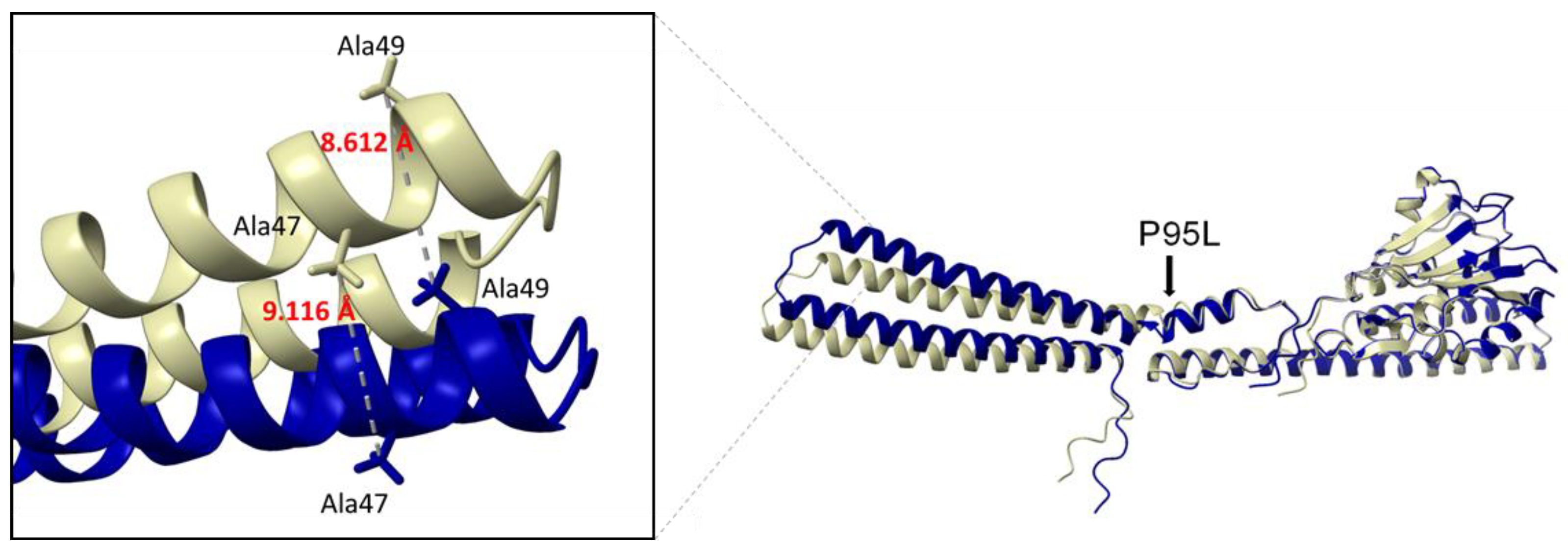 Antibiotics | Free Full-Text | Colistin Resistance Mechanisms in Human ...
