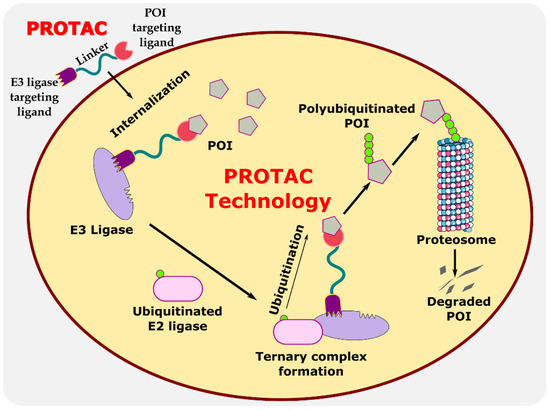 Antibiotics | Free Full-Text | A Perspective on Newly Emerging ...