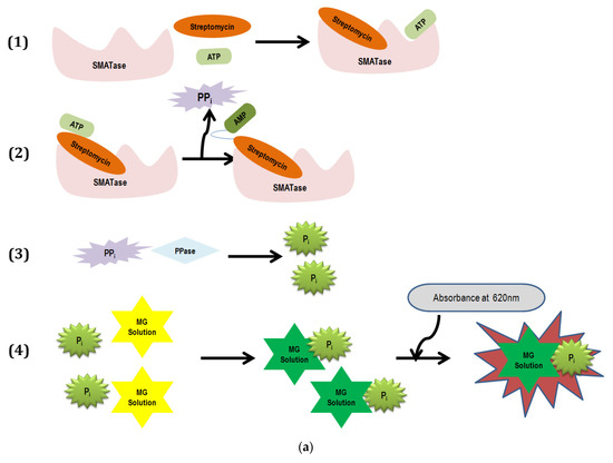 Functional Characterization, Mechanism, and Mode of Action of Putative ...