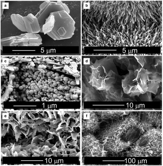 Antimicrobial Nanomaterials Based on Halloysite Clay Mineral: Research ...
