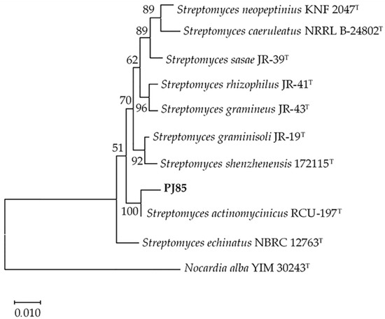 Isolation and Identification of Bioactive Compounds from Streptomyces actinomycinicus PJ85 and ...