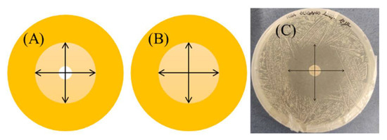 Agar Plate Methods for Assessing the Antibacterial Activity of Thyme ...