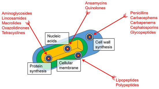 Antibiotic Susceptibility Testing with Raman Biosensing