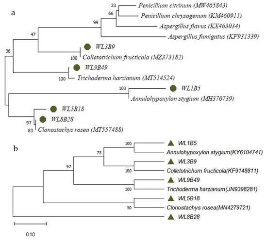 Antibiotics | Free Full-Text | Antimicrobial Potential of Metabolites ...