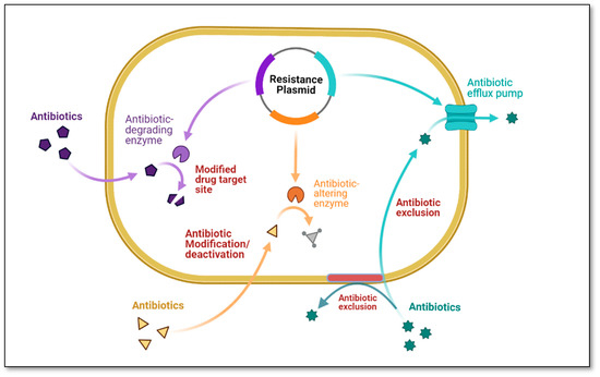 Evolution and Emergence of Antibiotic Resistance in Given Ecosystems ...