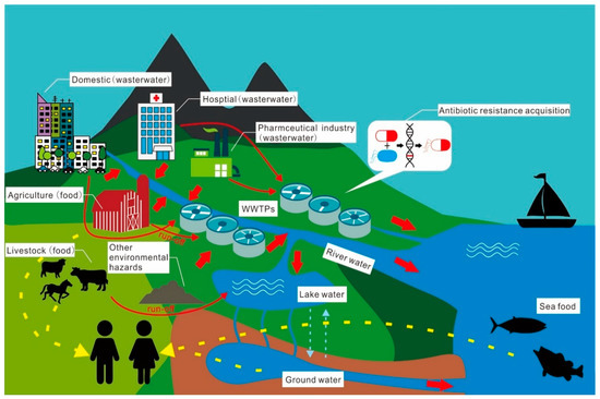 Evolution and Emergence of Antibiotic Resistance in Given Ecosystems ...
