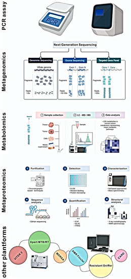 Evolution and Emergence of Antibiotic Resistance in Given Ecosystems ...