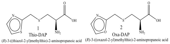 The Design, Synthesis, and Evaluation of Diaminopimelic Acid ...
