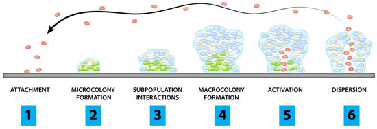 Physical Approaches to Prevent and Treat Bacterial Biofilm