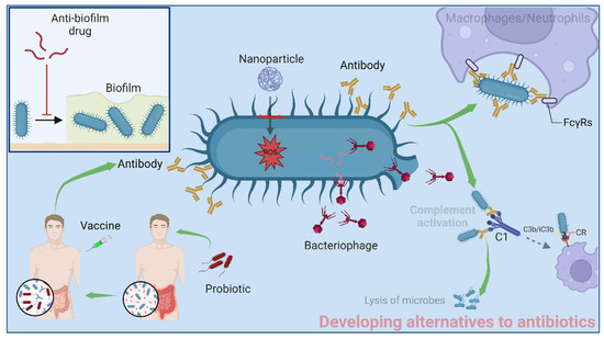 Current Promising Strategies against Antibiotic-Resistant Bacterial ...