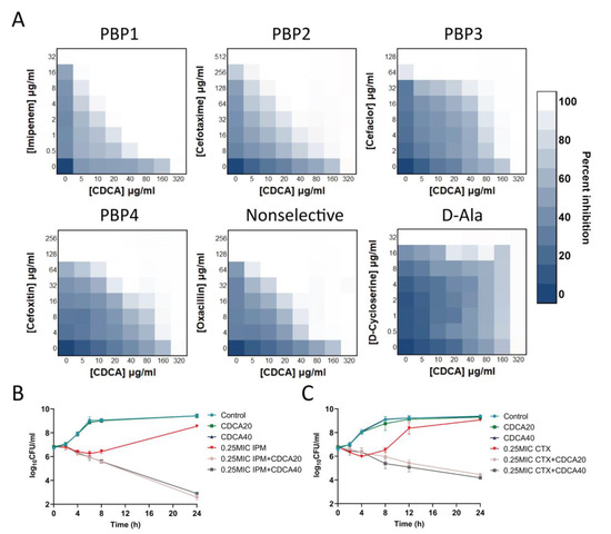 Synergistic Inhibition of MRSA by Chenodeoxycholic Acid and Carbapenem Antibiotics