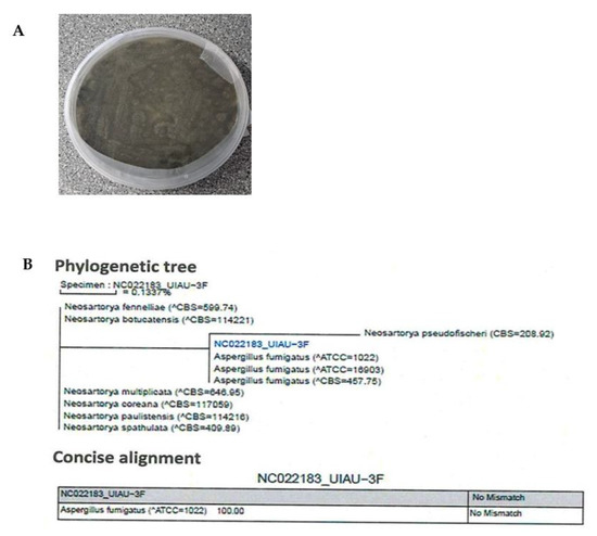 Antiparasitic Activities of Compounds Isolated from Aspergillus ...