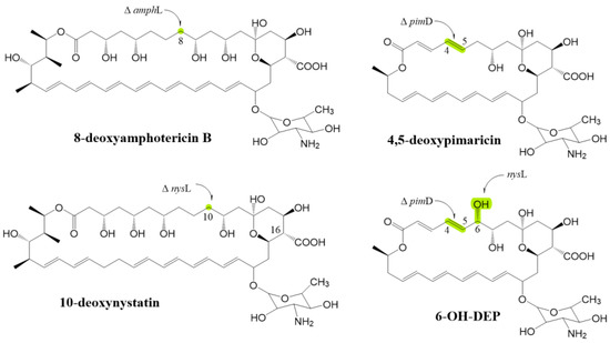 Effect of Post–Polyketide Synthase Modification Groups on Property and ...