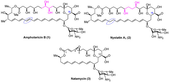 Semisynthetic Amides of Amphotericin B and Nystatin A1: A Comparative ...