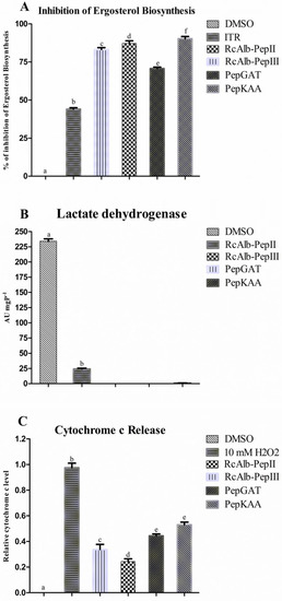 Antibiotics | Free Full-Text | Behind the Curtain: In Silico and In Vitro Experiments Brought to ...