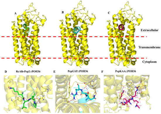 Antibiotics | Free Full-Text | Behind the Curtain: In Silico and In Vitro Experiments Brought to ...