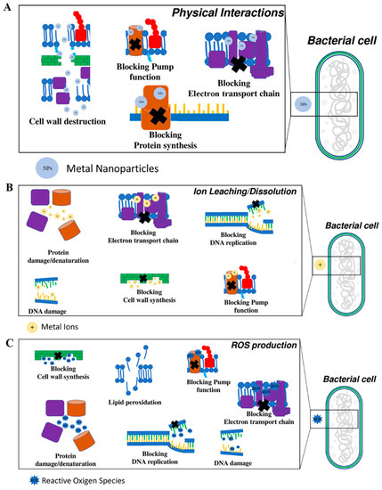 Nanomaterials-Based Wound Dressing for Advanced Management of Infected ...