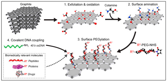 Photo-Antibacterial Activity of Two-Dimensional (2D)-Based Hybrid Materials: Effective Treatment ...