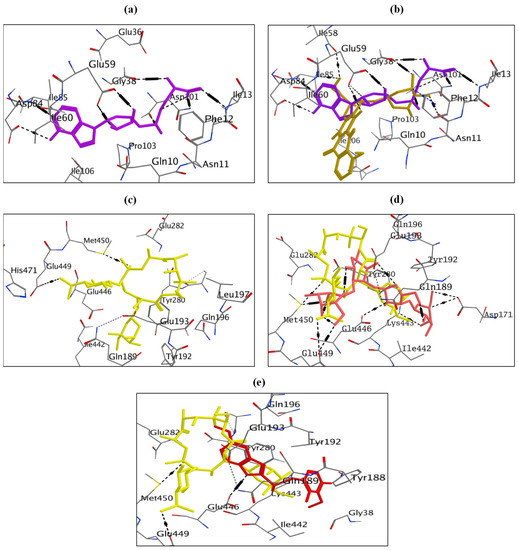 Inhibition of Erythromycin and Erythromycin-Induced Resistance among ...