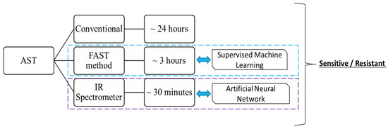 Artificial Intelligence for Antimicrobial Resistance Prediction ...