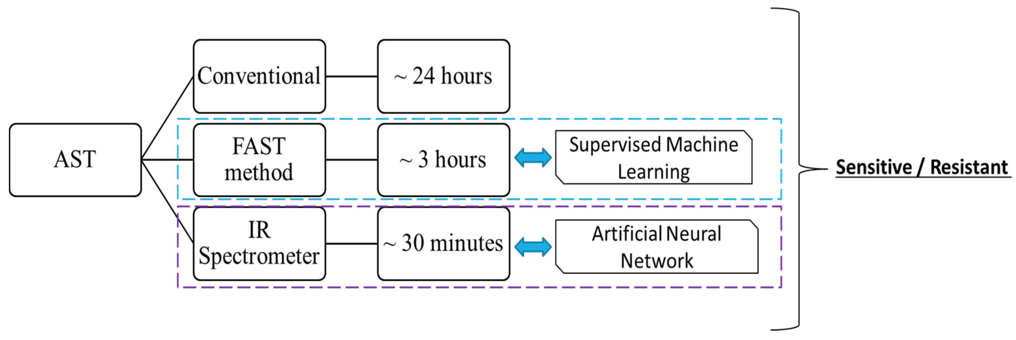 Artificial Intelligence for Antimicrobial Resistance Prediction ...