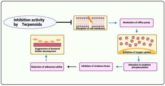 Medicinal Plants as Therapeutic Alternatives to Combat Mycobacterium ...