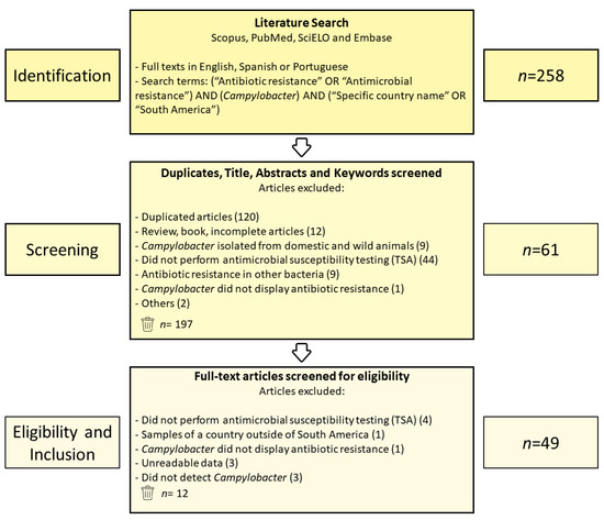 Antibiotic Resistance in Campylobacter: A Systematic Review of South ...