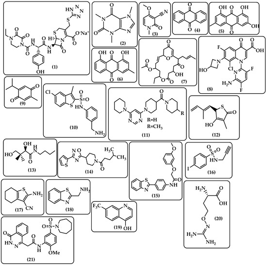 Design and Synthesis of Novel Antimicrobial Agents