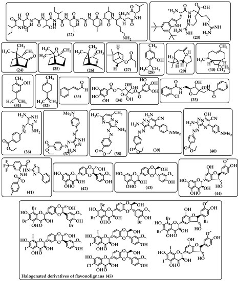 Design and Synthesis of Novel Antimicrobial Agents