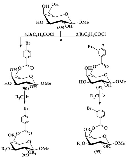 Design and Synthesis of Novel Antimicrobial Agents