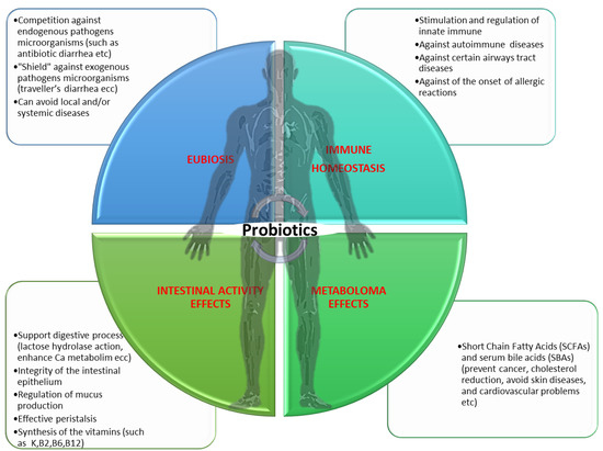 About Functional Foods: The Probiotics and Prebiotics State of Art