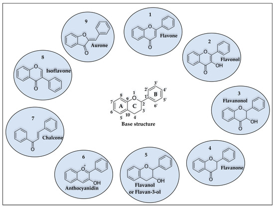 Phenolic Compounds in Bacterial Inactivation: A Perspective from Brazil