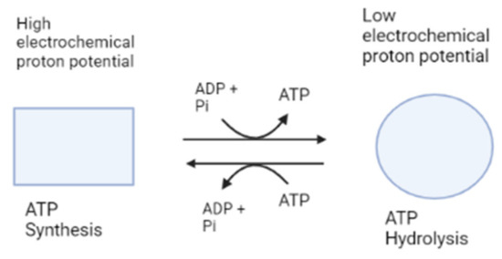 Inhibitors of ATP Synthase as New Antibacterial Candidates