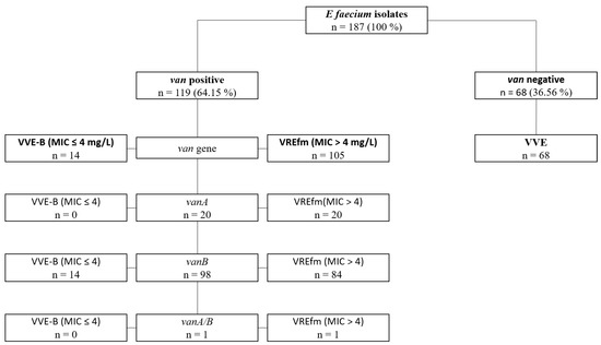 Comparison of Five Different Selective Agar for the Detection of ...