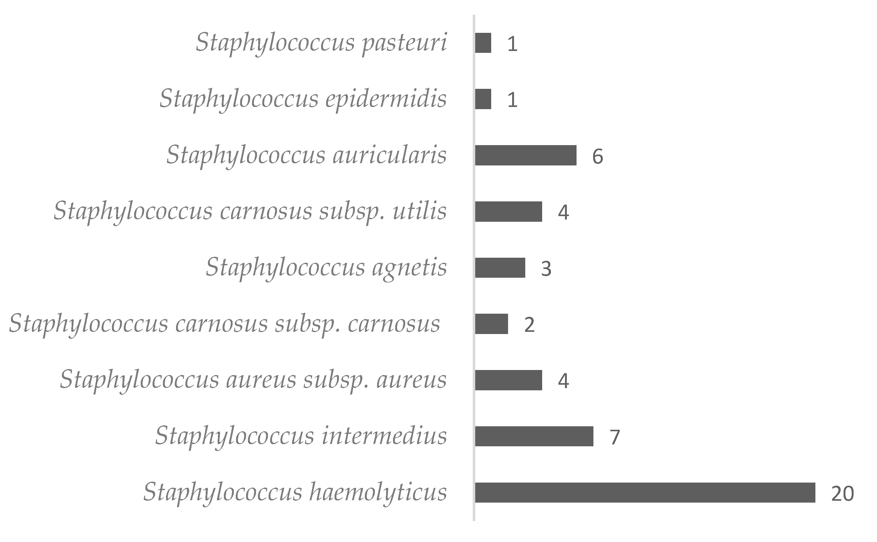 Staphylococcus spp. Causatives of Infections and Carrier of blaZ, femA, and mecA Genes ...