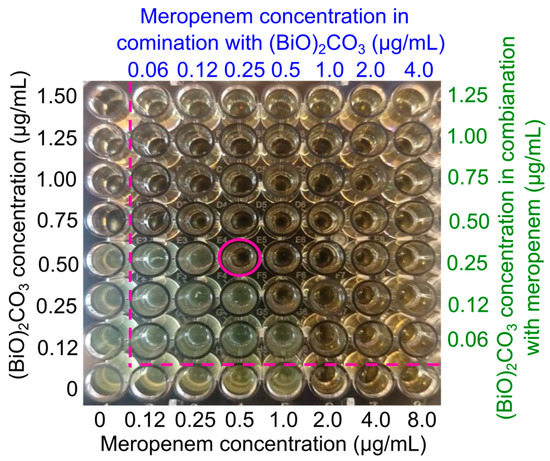 Broad-Spectrum Antimicrobial Activity of Ultrafine (BiO)2CO3 NPs ...