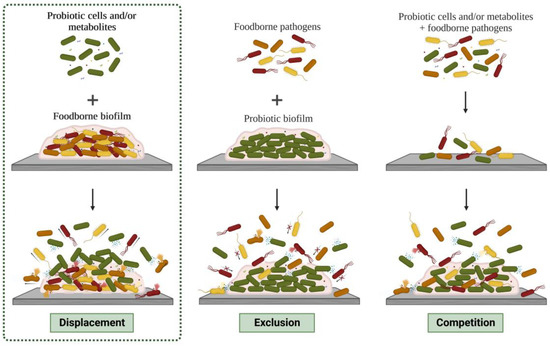 Use of Probiotics to Control Biofilm Formation in Food Industries
