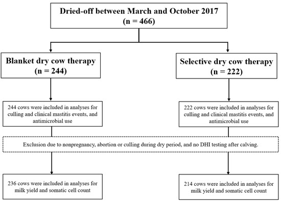 Impact of Selective Dry Cow Therapy on Antimicrobial Consumption, Udder ...