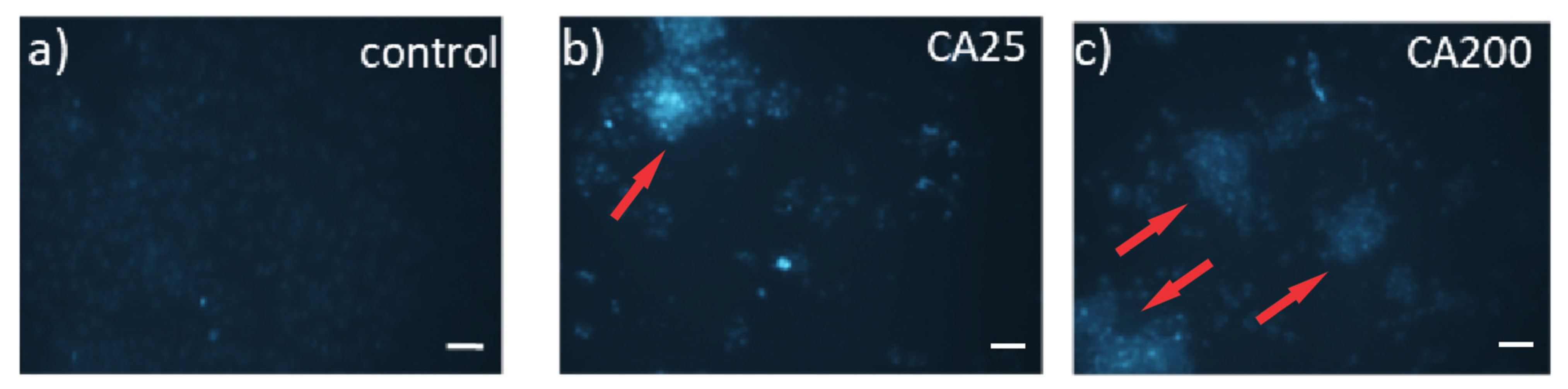 Employing Gamma-Ray-Modified Carbon Quantum Dots to Combat a Wide Range ...