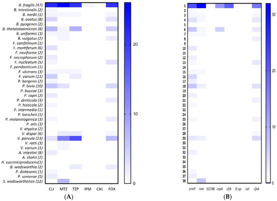 Antibiotics | Free Full-Text | Anaerobic Gram-Negative Bacteria: Role ...