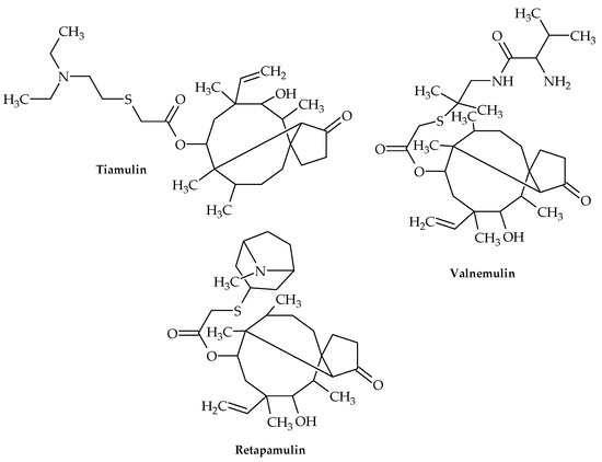 Synthetic and Semisynthetic Compounds as Antibacterials Targeting ...