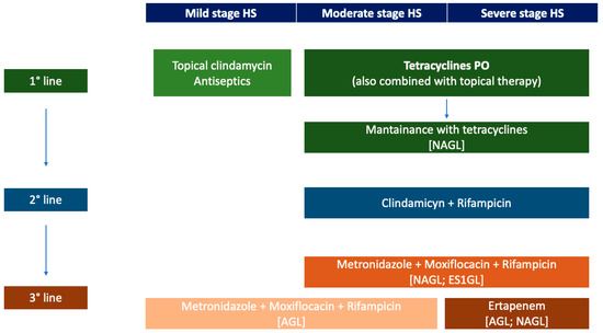 Antibiotics | Free Full-Text | Systemic Antibiotic Therapy in Hidradenitis Suppurativa: A Review ...