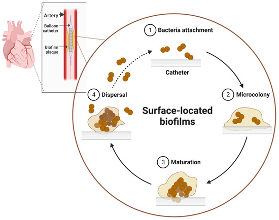 Combating Bacterial Biofilms: Current and Emerging Antibiofilm ...