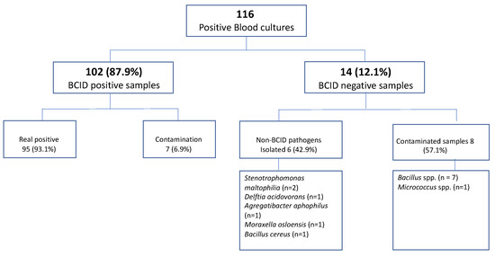 Influence of Multiplex PCR in the Management of Antibiotic Treatment in ...